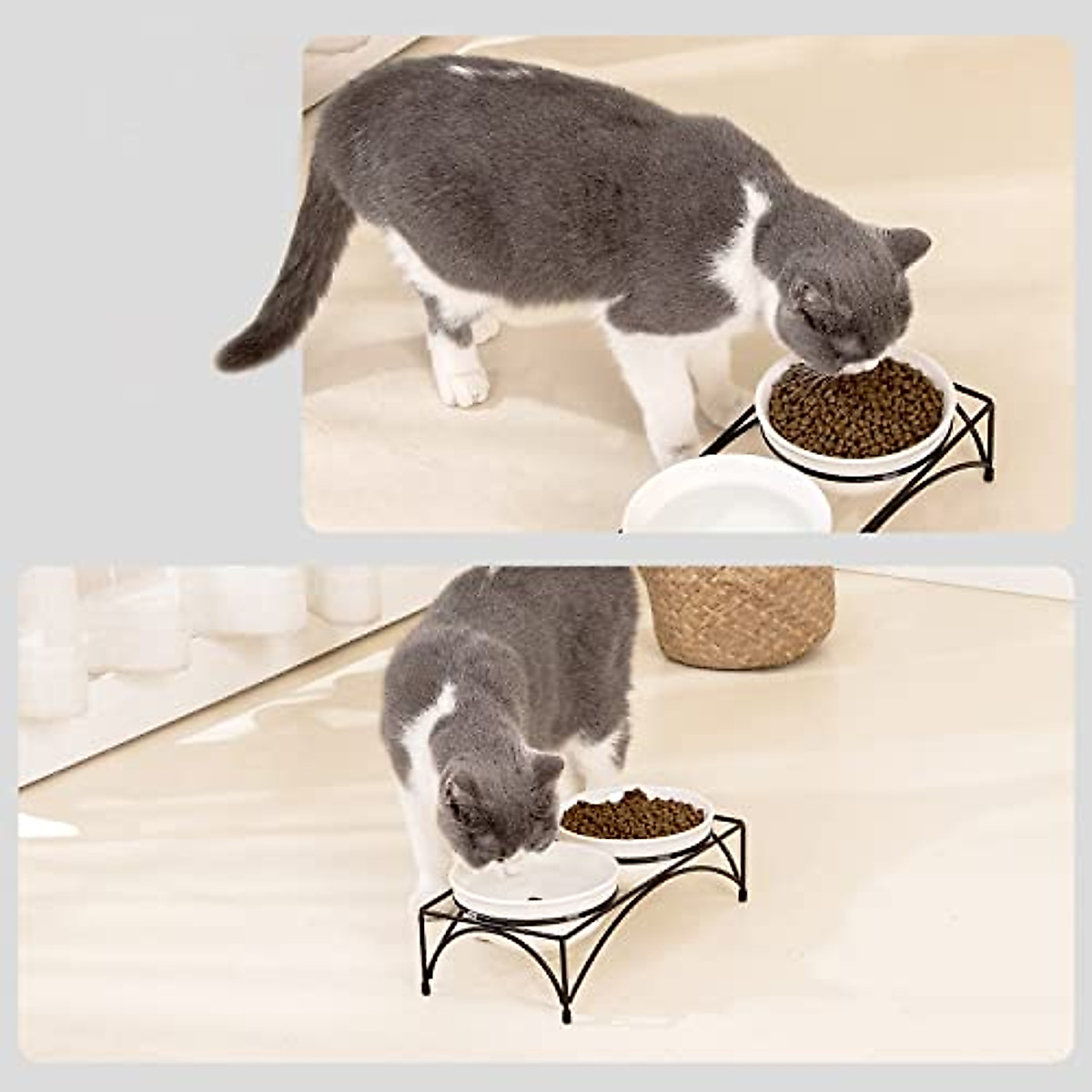 FOREYY Elevated Cat Bowls with 2 Ceramic Bowls and 2 Stainless Steel Bowls,Raised Cat Food Water Bowl with Iron Stand,Porcelain Pet Dishes for Cats and Small Dogs,16 Ounces,Dishwasher Safe