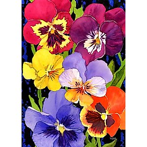 Toland Home Garden 1112552 Pansy Perfection Spring Flag 12x18 Inch Double Sided Spring Garden Flag for Outdoor House Flower Flag Yard Decoration