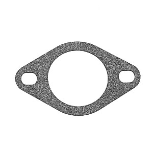 Engine Carburetor Carb for & 170402 390323 394228 7HP 8HP 9HP Horizontal Engines