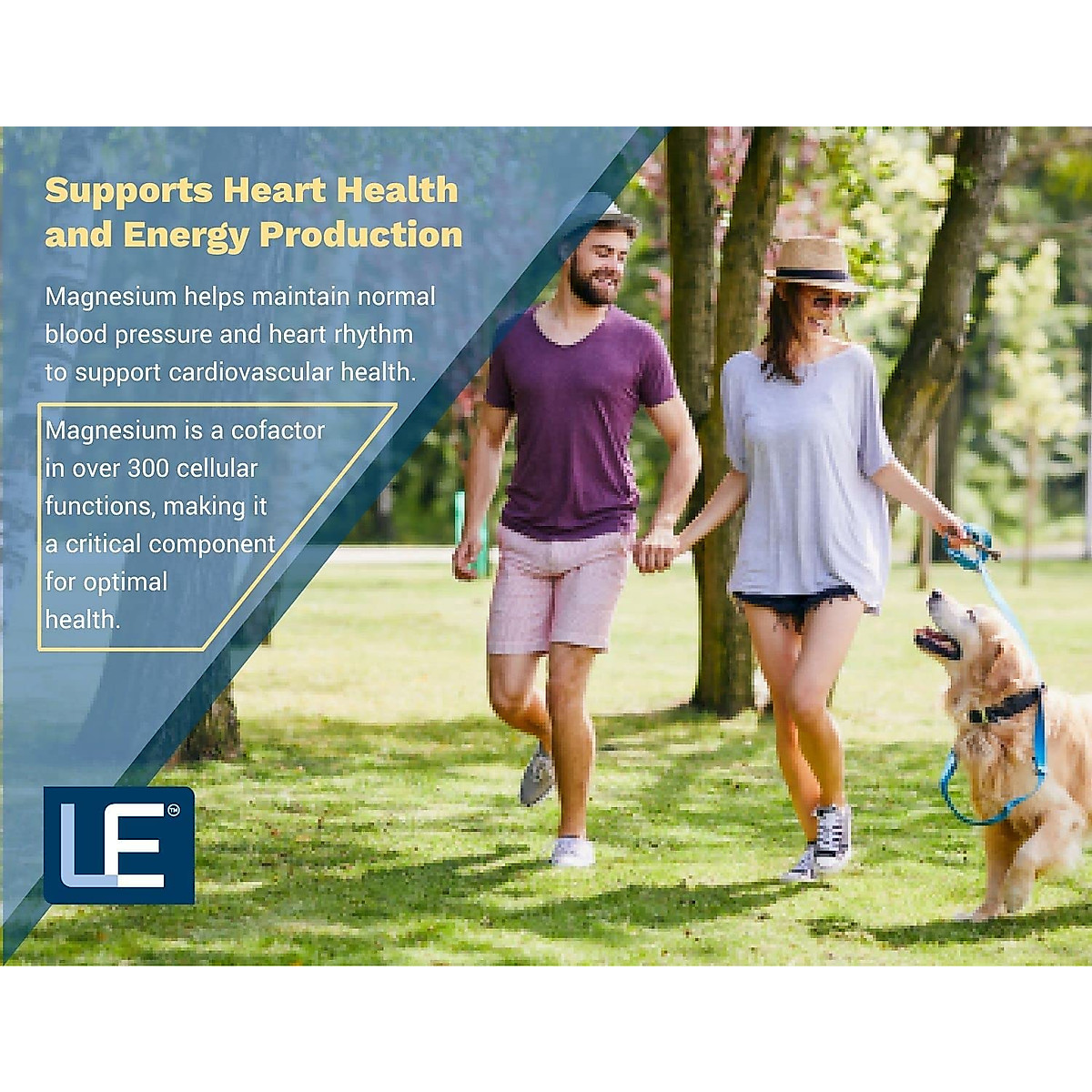 Magnesium Triple Complex Supplement: with Glycinate, Malate, and Citrate. Enhance Sleep and Brain Function Naturally. 90 Capsules