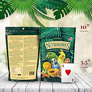 LAFEBER'S Tropical Fruit Nutri-Berries Pet Bird Food, Made with Non-GMO and Human-Grade Ingredients, for Cockatiels Conures Parakeets (Budgies) Lovebirds (Tropical Fruit 10 oz)