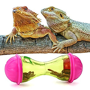 Kathfly 3 Pcs Bearded Dragon Toys Reptile Enrichment Toy Bearded Dragon Tank Accessories Reptile Food Toys Ball Interactive Toys for Lizard Reptile Tank Decor Gecko Small Animals Habitat Terrarium
