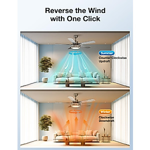 warmiplanet Ceiling Fans with Lights and Remote Control, 52 Inch, 6 Speeds Reversible DC Motor, 3 Color Dimmable Light, Timer, Noiseless, Brushed Nickel, 5 Blades, 2 Pack