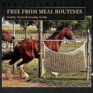 Bloomoak Knotless Slow Feed Hay Net with 2 Carabiner Clips for Horses/Soft Flat Hanging Hay Bag with Large Capacity for Full Day Feeding (1.2" Hole) (Large 63 * 40, White 1 PC)