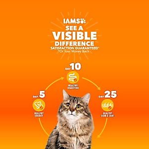 IAMS PROACTIVE HEALTH Healthy Senior Dry Cat Food with Chicken Cat Kibble, 7 lb. Bag