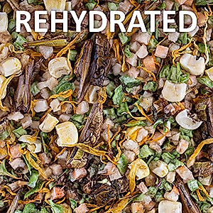 Healthy Herp Adult Dragon Food Instant Meal 8.4-Ounce (240 Grams) Jar