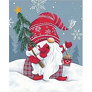 Christmas Gnome Stamped Cross Stitch Kits for Adults, Christmas Gnome Counted Pattern Needlepoint Kits Crafts Dimensions Cross-Stitch Stamped Kits Embroidery Kits Arts Craft Kits for Wall Art Gift