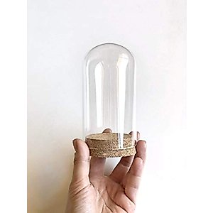 N/ 1 Pieces Clear Glass Dome Cover Cloche Bell Jar Succulent Terrariums w/Wooden Cork Base Home Study Room Decor Beauty and The Beast
