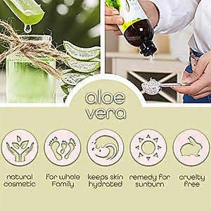 Pure Aloe Vera Gel For Face & Dry Skin, Sunburn Relief, Aloe Vera Gel for Skin Moisturizer Aloe Vera Gel from Aloe Vera Plant Organic Aloe Vera Gel for Hair Aloe Vera Oil Aloe Gel 12 oz