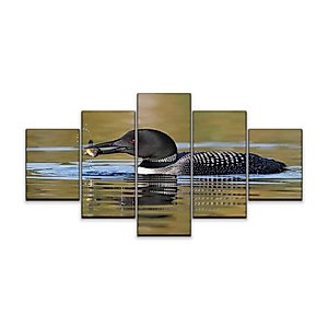 Large Canvas Print 5 Panels Art Wall Paintings Common Loon Catching a Pumpkinseed Sunfish Stretched Framed Wall Poster Picture on Canvas Home Decor - 60x32 Inch Total