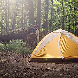 Yesland 8 Pack 15 Inch Black Ground Anchor, Reusable Heavy Duty Steel Wind Stakes, 3/8 Inch Thick in Diameter with 25 Feet of Rope