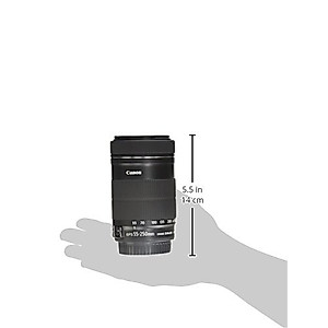 Canon EF-S 55-250mm F4-5.6 is STM