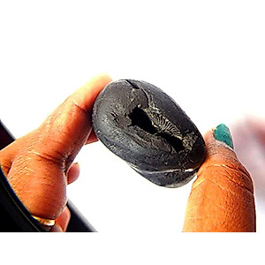 XUETZALCOATL Sacred Adwaitya Shweta Gadadhar Pandit Shaligram Nepal Kali Gandaki