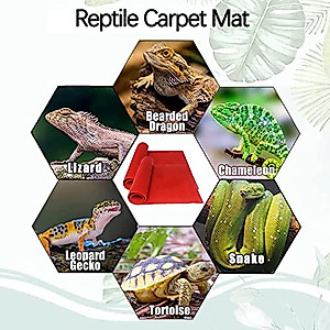 BNOSDM 2 Pieces Reptile Carpet Bearded Dragon Terrarium Substrate Mat Reptile Cage Mat Bedding Supplies for Leopard Gecko Lizard Iguana Snake Tortoise