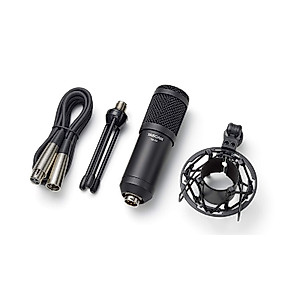 Tascam Dynamic Microphone for Broadcast Microphone for Professional Podcasting and Live Streaming (TM-70), Black