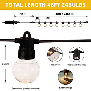 PURPLE LEAF Hardtop Gazebo 10' X 12' Metal Roof with Netting and Curtains Hard Top Backyard Patio Gazebos Permanent Canopy Deck Garden Hot Tub Outdoor Pavilion