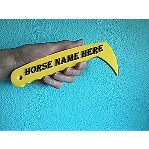 Horse Hoof Pick