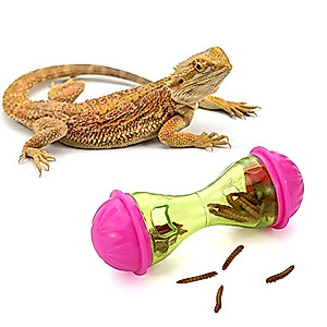 Kathfly 3 Pcs Bearded Dragon Toys Reptile Enrichment Toy Bearded Dragon Tank Accessories Reptile Food Toys Ball Interactive Toys for Lizard Reptile Tank Decor Gecko Small Animals Habitat Terrarium