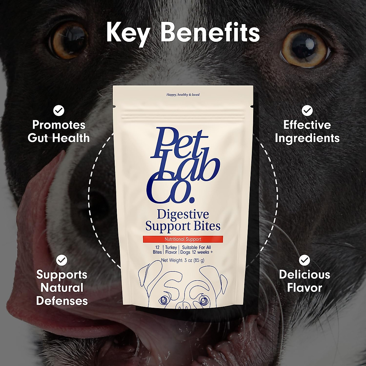 PetLab Co. Digestive Support Bites - Dog Training Treats - Chewy Dog Treats to Support Gut Health - Training Treats for Dogs - Premium Ingredients and Nutritional Benefits - Delicious Puppy Treats
