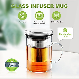 suyika Tomotime Glass Tea Cup with Lid and Stainless Steel Infuser Basket Perfect Clear Tea Mug for Office and Home Uses for Loose Leaf Tea Steeping 13.5 Ounce,400ml, Black