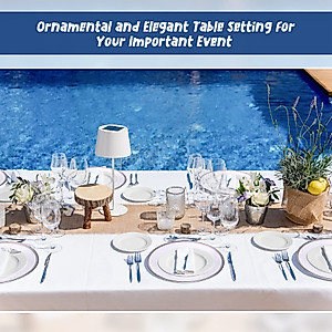 24 Pack Clear Charger Plates Bulk 13 Inch Plastic Round Dinner Plate with Black Edge Acrylic Dinner Charger Decorative Plates for Party Banquet Wedding Family Events Dinner Table Decoration