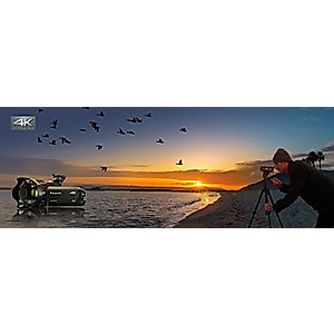 Panasonic 4K Cinema-Like Video Camera Camcorder HC-WXF991K, 20X Leica DICOMAR Lens, 1/2.3" BSI Sensor, 5-Axis Hybrid O.I.S, HDR Mode, EVF, WiFi, Multi Scene Video Recording (Black)