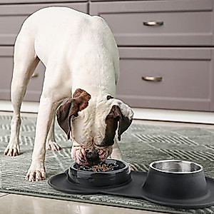 PETIZER Dog Bowls Medium Sized Dog, Slow Feeder Dog Bowls with No Skid Silicone Mat, Dog Food and Water Bowl, Stainless Steel Pet Bowls, 72Oz in Total