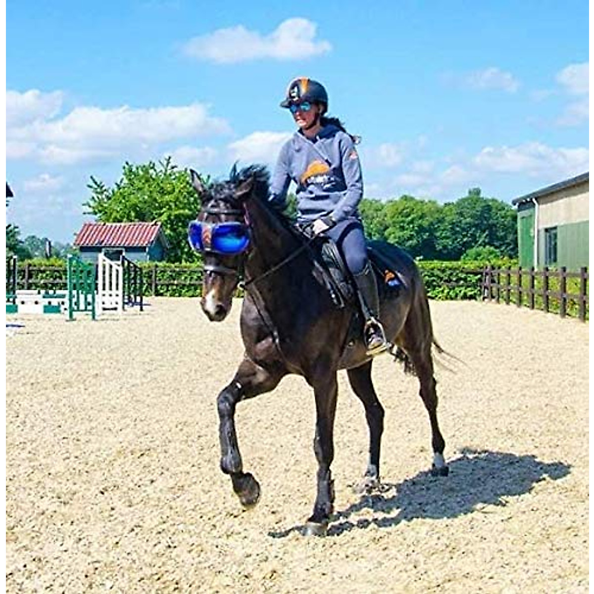 eVysor UV Protection Horse Riding Goggles by eQuick-it - MIrrored Blue Lenses