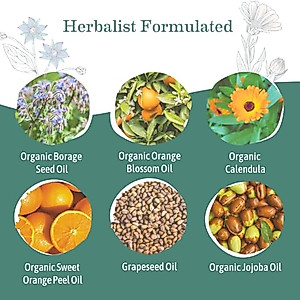 Earth Mama Belly Oil for Dry Skin | Calendula Skin Care Moisturizer Oil to Encourage Natural Elasticity and Help Prevent Stretch Marks During Pregnancy and Postpartum, 4-Fluid Ounce