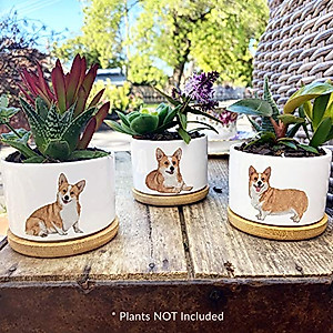 GIFTGIRL Corgi Gifts for Corgi Lovers - Our Corgi Succulent Planters Make Great Corgi Gifts for Women and are Perfect Corgi Gifts for Girls. All Corgi Lovers, Love Corgi Gifts