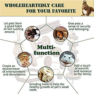 10 Pack Small Animal Combo Apple Wood Activity Toys, Hamsters Chew Toys, Rat Chinchilla Snacks Toys for Pets Organic Natural Accessories