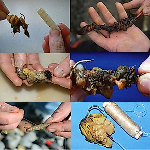 Damascus 4 Pcs Miracle Magic Elastic Thread 1312FT 0.15mm for Fishing Bait tie Invisible wrap for line Stretchy Tying System sea Keeper Twine Spool Nylon Saltwater Salmon Sturgeon Catfish