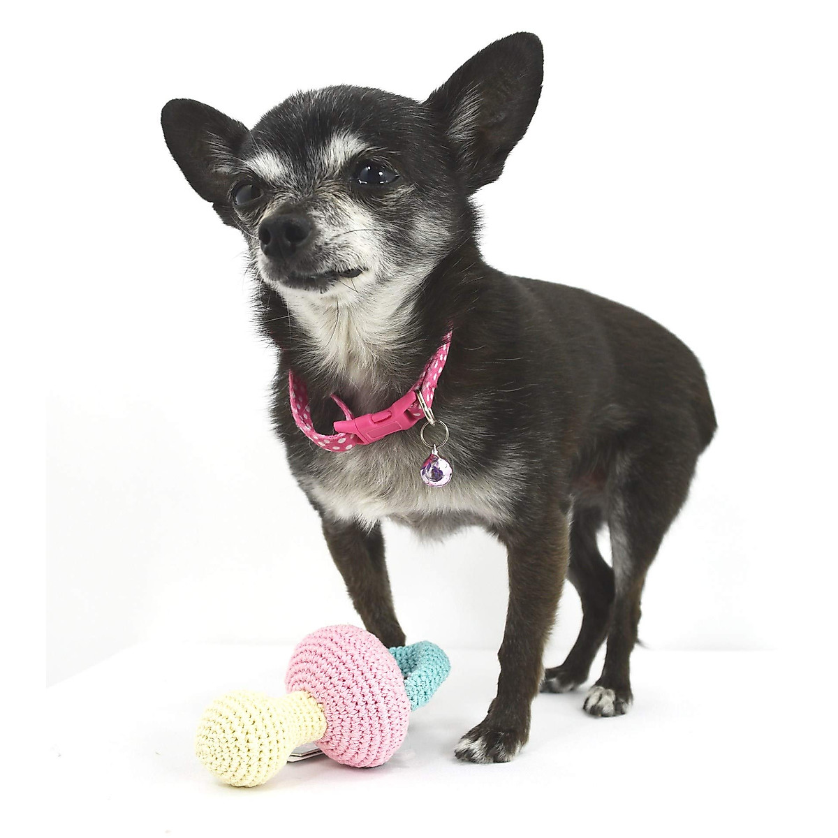 DOGO 100 Dog Teeth Cleaning Cotton Crochet Squeaky Dog Toy for Small Dogs - Pacifier