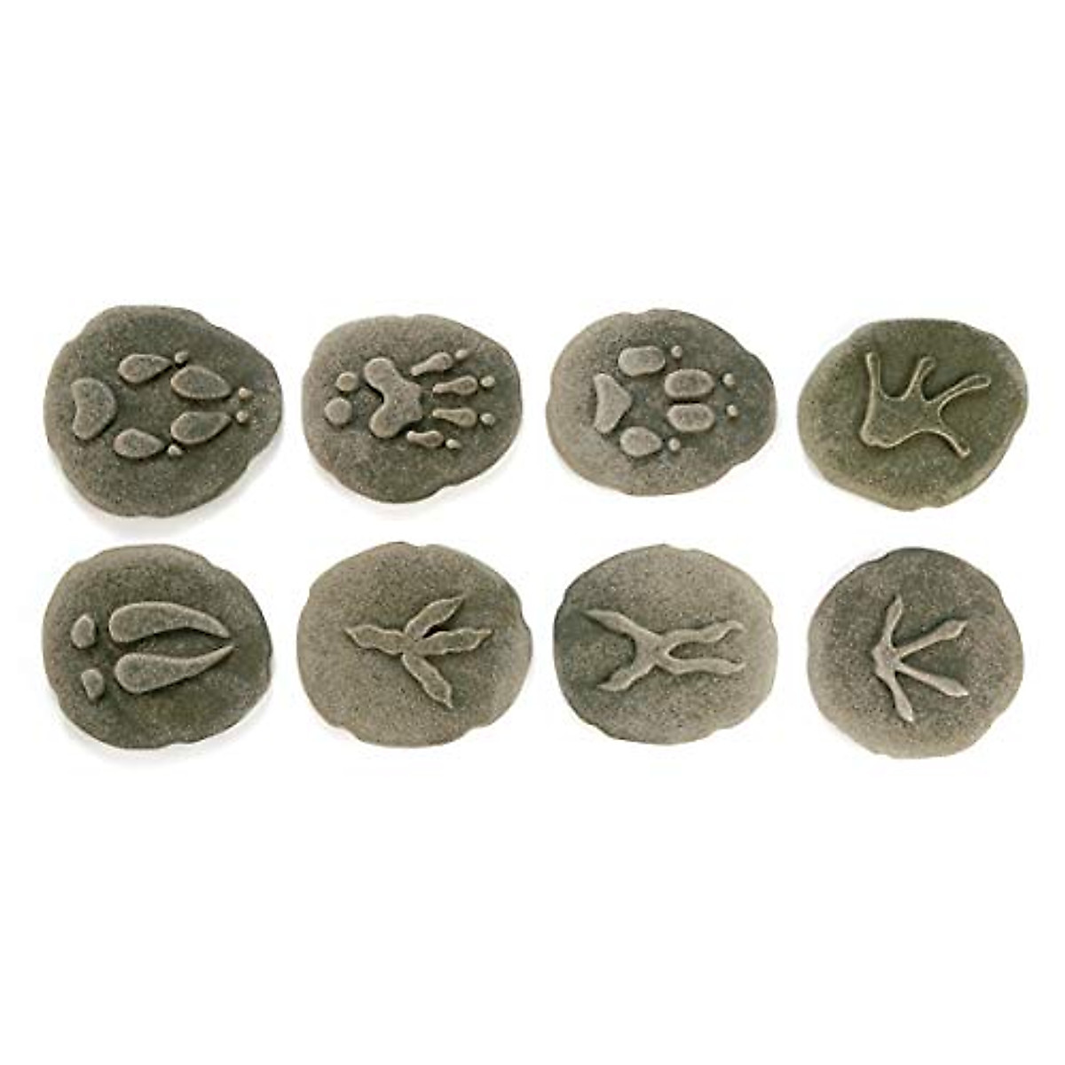 Yellow Door Let’s Investigate Woodland Footprints Double Sided Stones with Animal Tracks and Animal Picture, Create Fun Animal Games with Fossil Set, Stone, Set of 8, Toddler Toys for 3 Years & Up