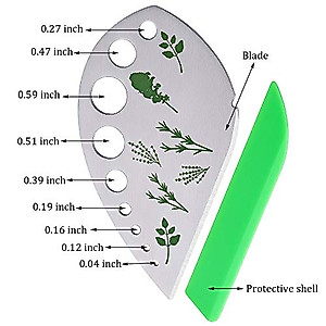 BENEKIY Scissors Herb Stripper Tools Kits 5-Blades Stainless Steel Scissors with Kitchen Herb Stripping Tool, Safe Cover, Cleaning Comb Multipurpose Kitchen Chopping Shear, Mincer