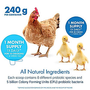 Equa Holistics HealthyGut Probiotics for Chickens & Poultry, All-Natural Digestive System Dietary Supplement (30 Scoops)