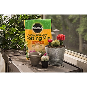Miracle-Gro Cactus, Palm & Citrus Potting Mix 2-Pack