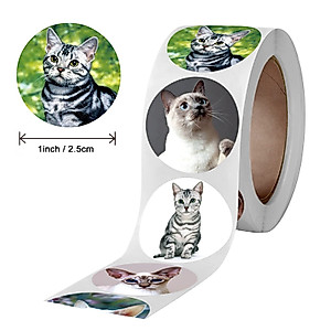 1000 Pieces Mini Cute Cat Stickers for Kids Reward Stickers Sealing Stickers in 16 Designs (1 Inch Diameter)