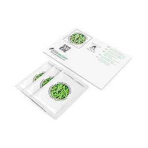 Natural Probiotic Selection Yogurt Starter Cultures - Pack of 3 Freeze-Dried Sachets for Lactobacillus Rhamnosus and L.Gasseri Yogurt (3 sachets Pack)