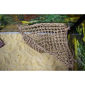 PENN-PLAX Reptology Lizard Lounger Corner Triangle with Ladder– 100% Natural Seagrass Fiber – Great for Bearded Dragons, Anoles, Geckos, and Other Reptiles – Large