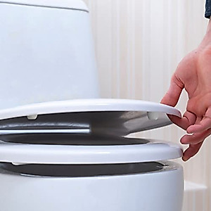 Danco 10062 Universal Bumper, for Use with Toilet Seats, Rubber, 1 Pack, White