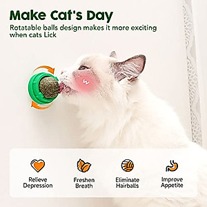 Potaroma Catnip Toys Balls 4 Pcs, Extra Cat Energy Ball, Edible Kitten Silvervine Toys for Cats Lick, Healthy Kitty Teeth Cleaning Dental Chew Toys, Cat Wall Treats (Green)
