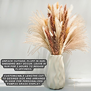 Natural Dried Pampas Grass Bouquet - 85 PCS with Bunny Tails, Dried Flowers, and Pompas for Boho Home Decor, Wedding Floral Arrangements, Rustic Farmhouse Party in White and Brown