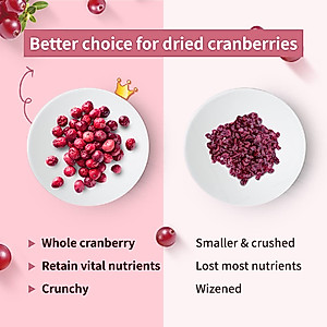 Frenature Freeze Dried Cranberries, Natural Freeze Dried Fruits, Canada Whole Dried Cranberries, Camping Food & Healthy Snacks, Gluten Free and Vegan, 1.27 Ounce (Pack of 2)