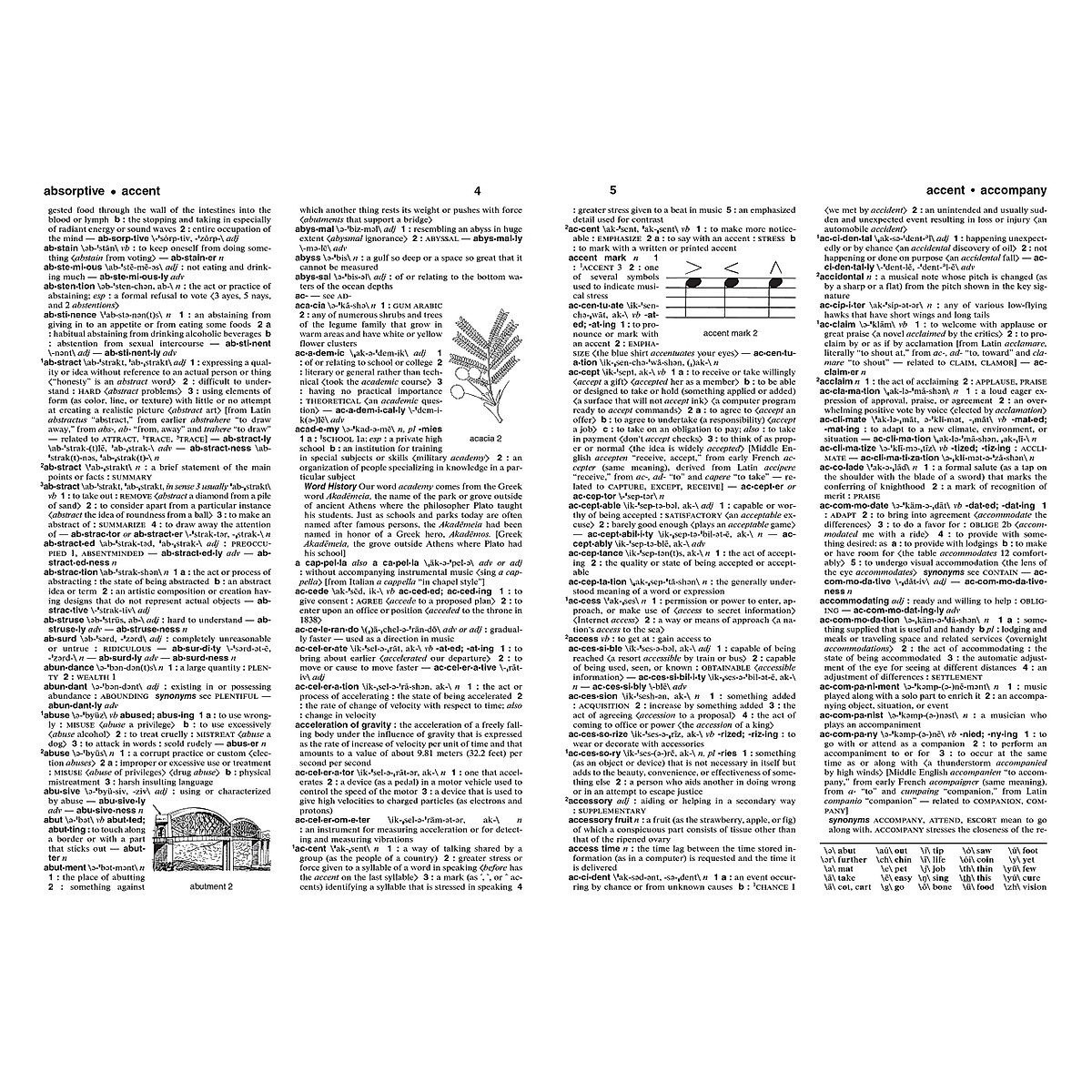 Merriam-Webster's Intermediate Dictionary, Newest Edition, (The Authoritative Middle School Dictionary)