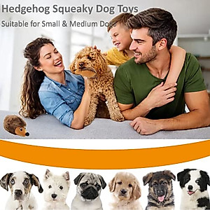 SUNKYPUP Hedgehogz Squeaky Dog Toy, Stuffed Plush Dog Toys for Small Medium Dogs (8 Inch (1 Pack))