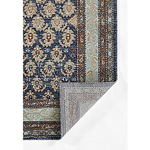Momeni Lillihan Traditional Indoor Area Rug
