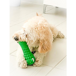 SINCREX USA Dog Toothbrush Dental Chew Crocodile Dog Toy, Teeth Cleaning, Teething Aid, The Best Indestructible Dog Toy for Aggressive Chewers, Dog Chew Toy for Medium to Large Dogs (Green)