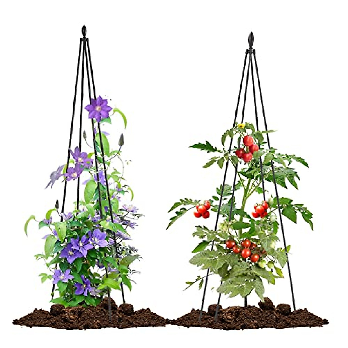 Lalahoni 2 Pack Garden Trellis for Climbing Plants Outdoor Indoor Pot | 67inch Tall Plants Trellis Support for Climbing Vines Vegetables Plants | Garden Obelisk Trellis, Lightweight, Black