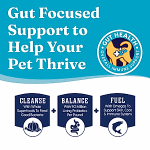 Solid Gold Indoor Dry Cat Food - Let's Stay in Cat Food Dry Kibble for Indoor Cats - Hairball & Sensitive Stomach - Grain & Gluten Free - Probiotics & Fiber for Digestive Health - Salmon - 12lb